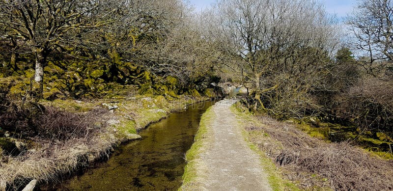 Devonport Leat , Dartmoor National Park, Devon Stock Photo - Image of ...