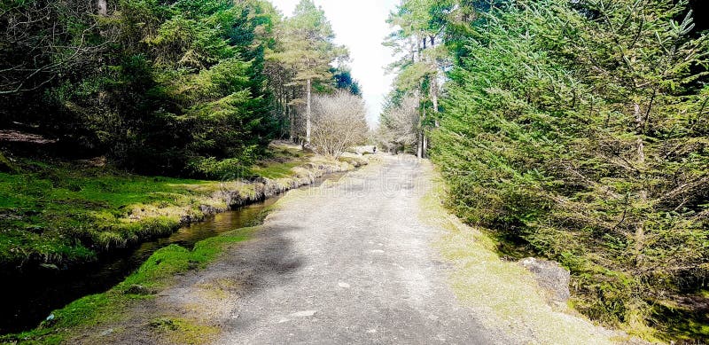 Devonport Leat , Dartmoor National Park, Devon Stock Photo - Image of ...