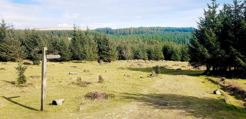 Devonport Leat , Dartmoor National Park, Devon Stock Photo - Image of ...