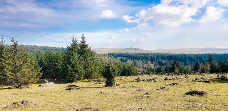 Devonport Leat , Dartmoor National Park, Devon Stock Photo - Image of ...
