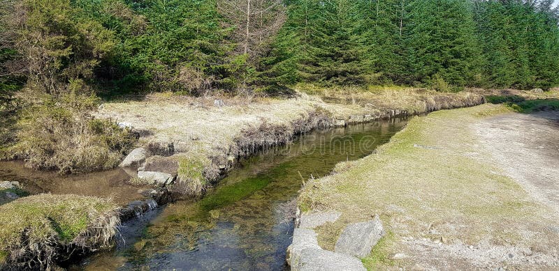Devonport Leat , Dartmoor National Park, Devon Stock Photo - Image of ...