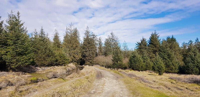 Devonport Leat , Dartmoor National Park, Devon Stock Photo - Image of ...