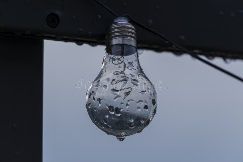 Dew-covered Light Bulb in a Garden at Sunrise. Stock Image - Image of ...