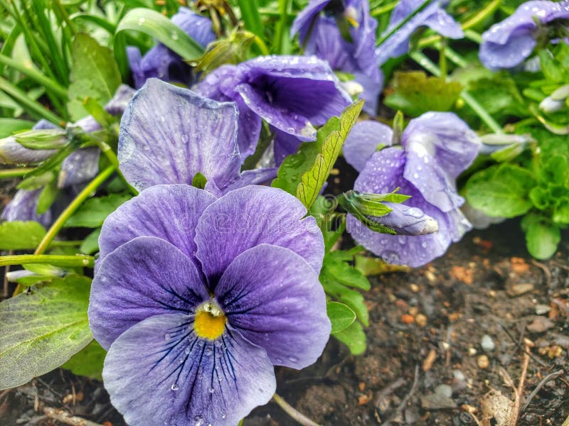 Sdf Dsf Ds Fdsf Dsf Dsf Sdr Ftwes Gsdg Ds Gfsdfsd Stock Photo - Image ...