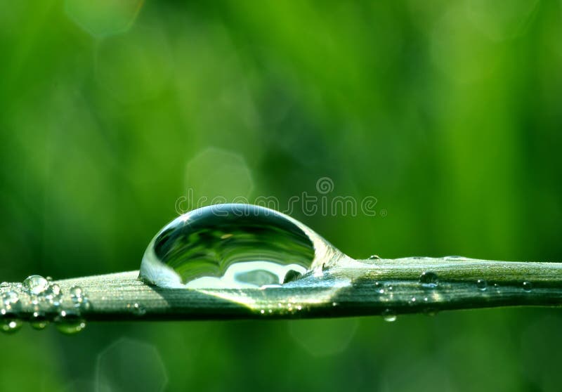 Dew drop stock image. Image of abstract, environment - 14889979