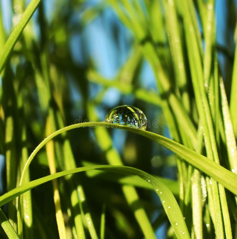 Easter stock image. Image of white, seasonal, willow, season - 1741683