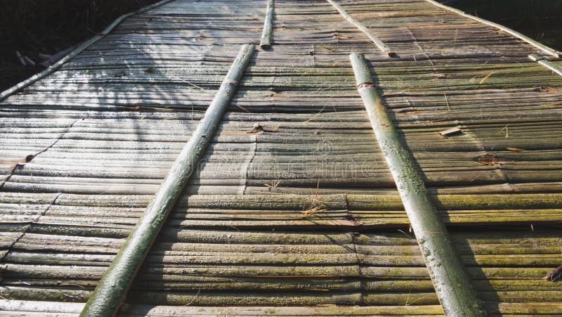 Dew Drop on Bamboo Walkway Path Stock Photo - Image of pedestrian ...