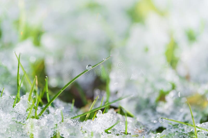 Dew Drop on Grass stock image. Image of droplet, landscape - 270116195