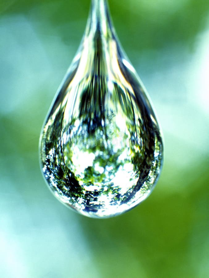 Dew Drop with Jungle Reflection Stock Photo - Image of morning ...