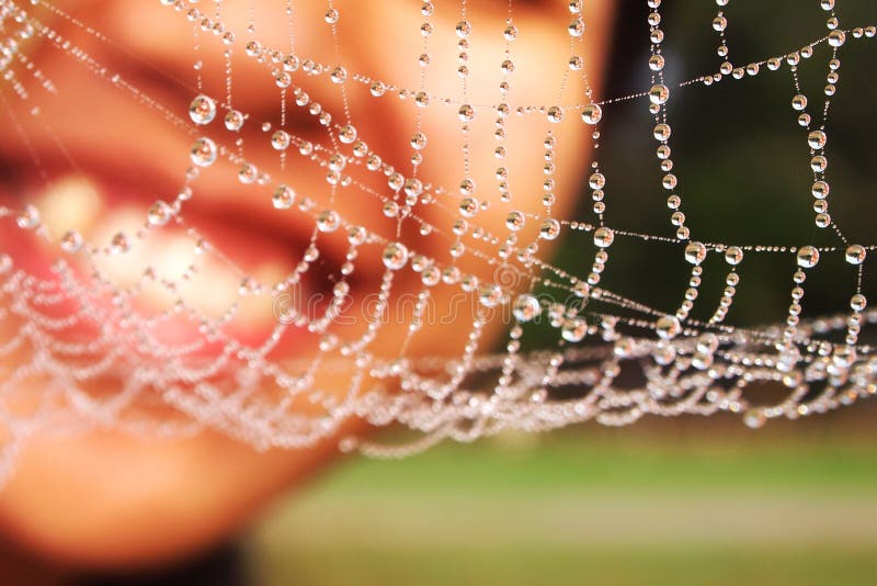 Dew drop with smile stock photo. Image of backdrop, nature - 36807180