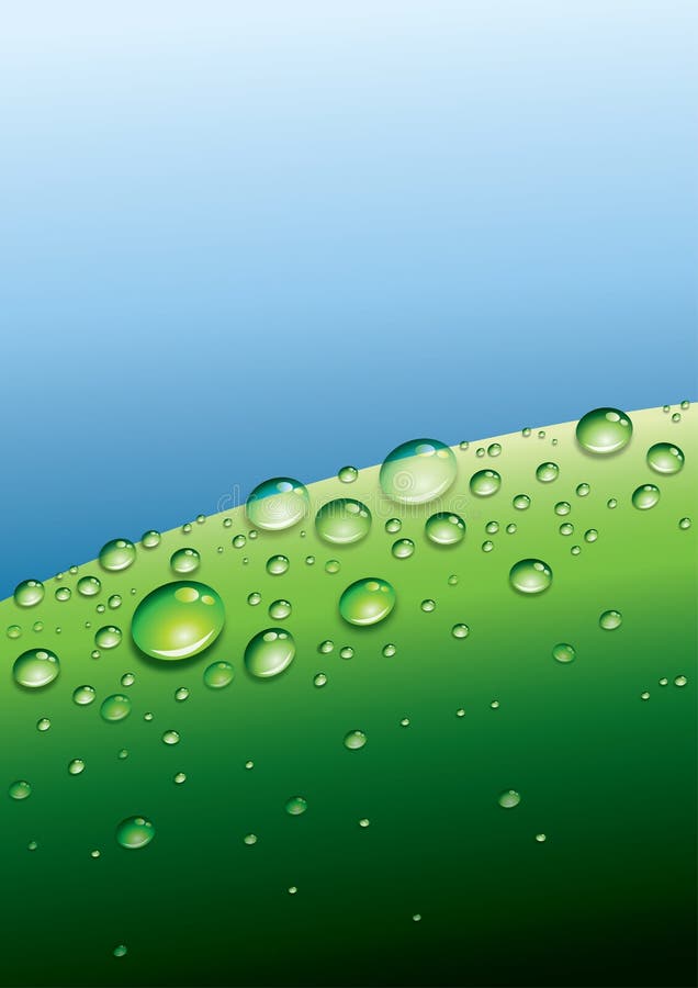 Dew drops stock vector. Illustration of clean, green - 14962673