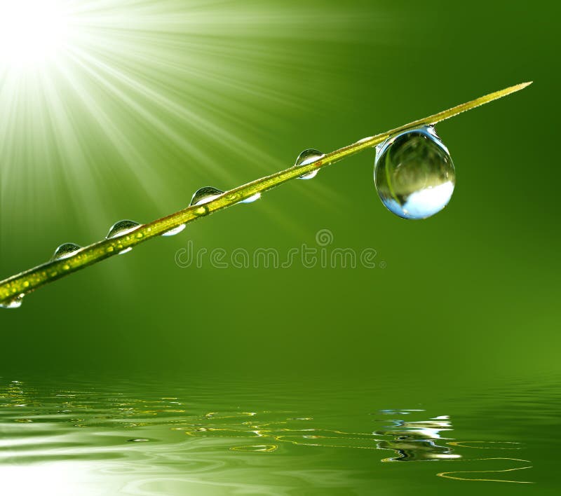 Mountain river stock photo. Image of green, drop, destination - 3414510