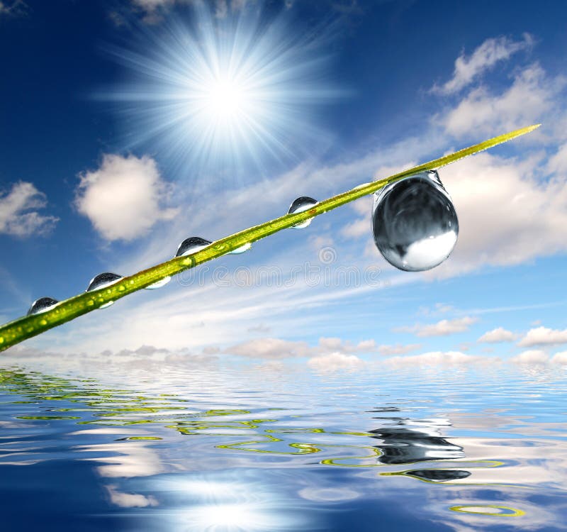 Dew drops stock image. Image of beauty, clouds, mirror - 8007583