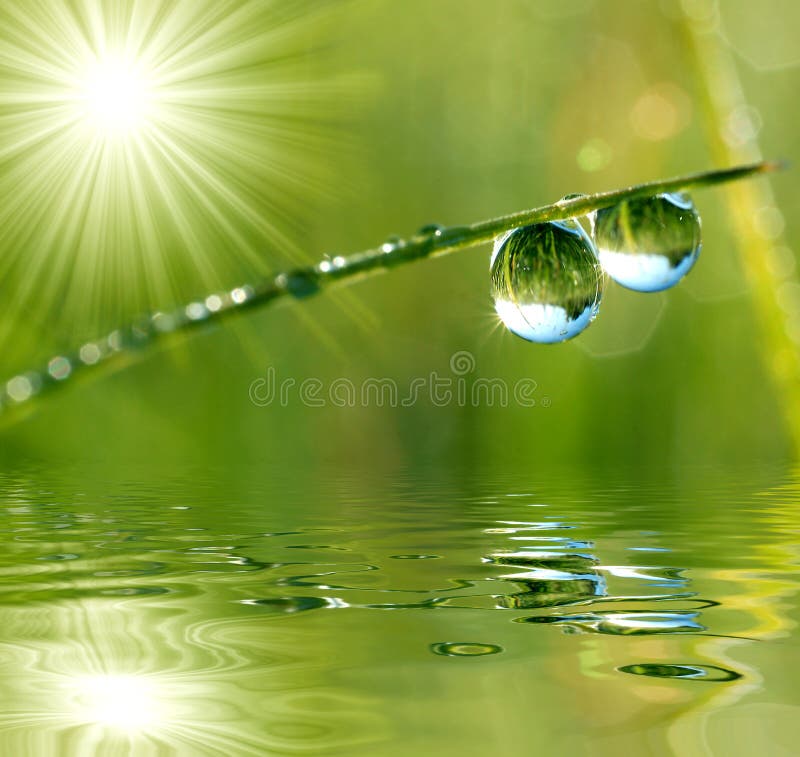 Three dew drops stock photo. Image of level, condensation - 9434250