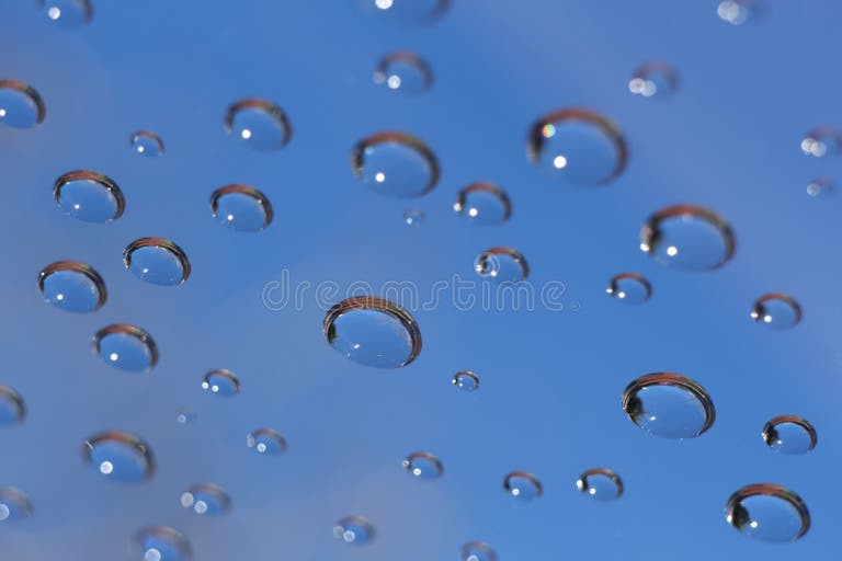 Dew drops in the blue sky stock photo. Image of blue - 62079250