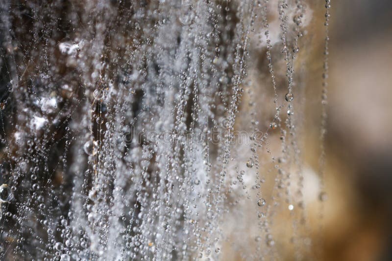 Dew Drops Forming on a Spider Web in the Early Morning 库存照片 - 图片 包括有 结算 ...