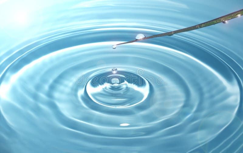 Dew Drops in Spring Sunlight Fall from a Blade of Grass into Clear ...