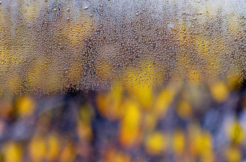 Dew drops on a window stock photo. Image of water, natural - 182252386