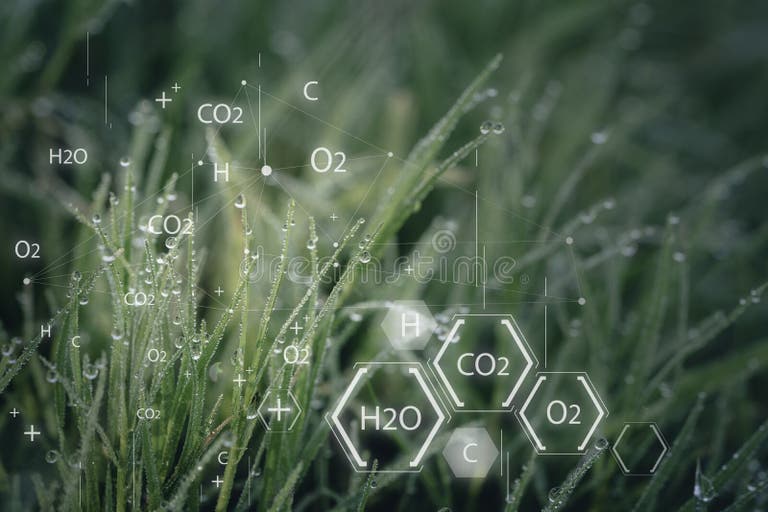 Dew on the Grass. Scientific Compounds Formation Concept Stock Image ...