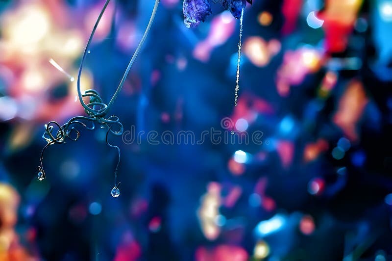 Dew on the Long Cobweb on Grape Leaves. Stock Image - Image of paint ...