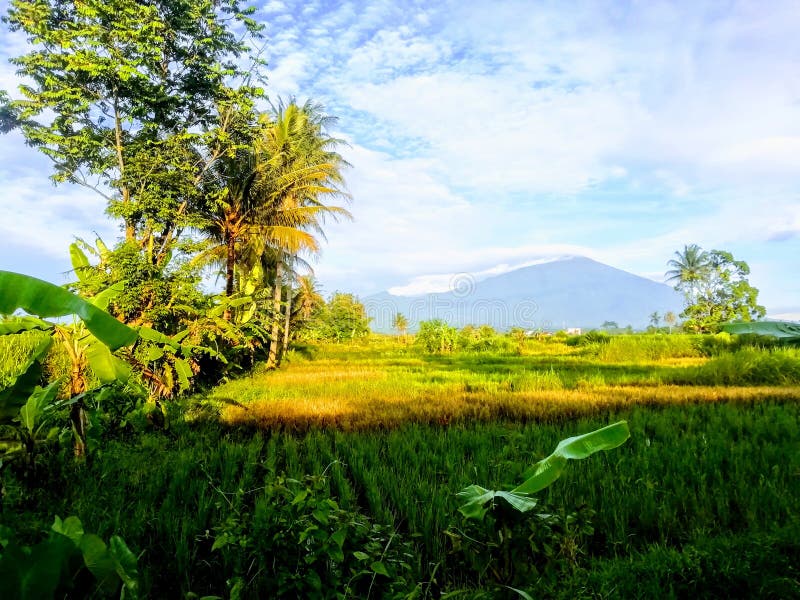 Mount Ciremai in the Morning Stock Photo - Image of light, rise: 206800500