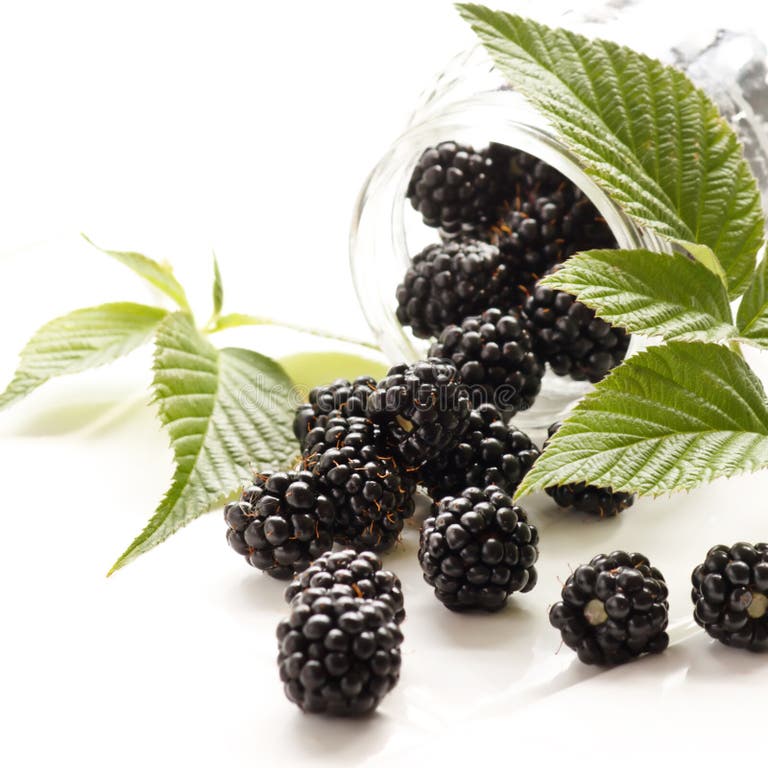 Dewberries stock photo. Image of dessert, tasty, diet - 14627448