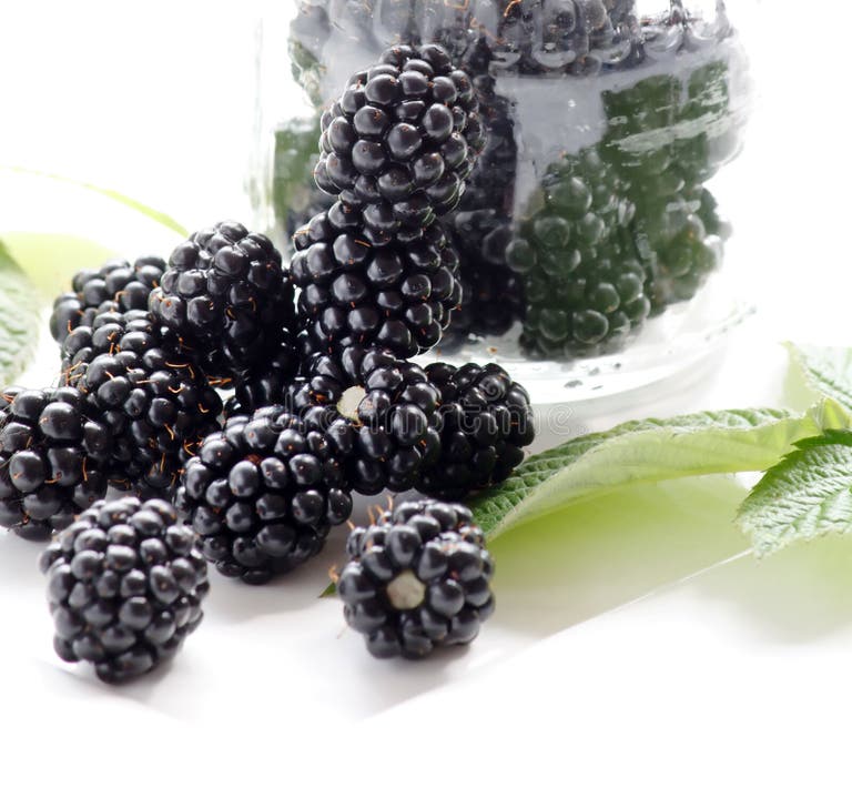 Dewberries stock photo. Image of sweet, food, mellow - 14782478