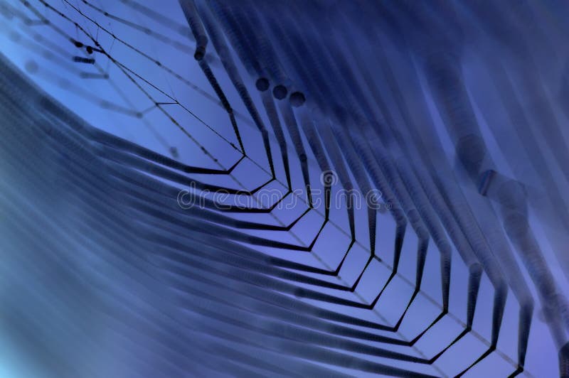 Dewy cobweb in blue stock photo. Image of fleece, abstract - 7406908