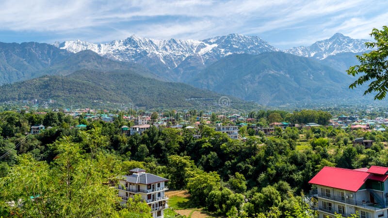 Dharamshala of Himachal Pradesh Surrounded by Cedar Forests and ...