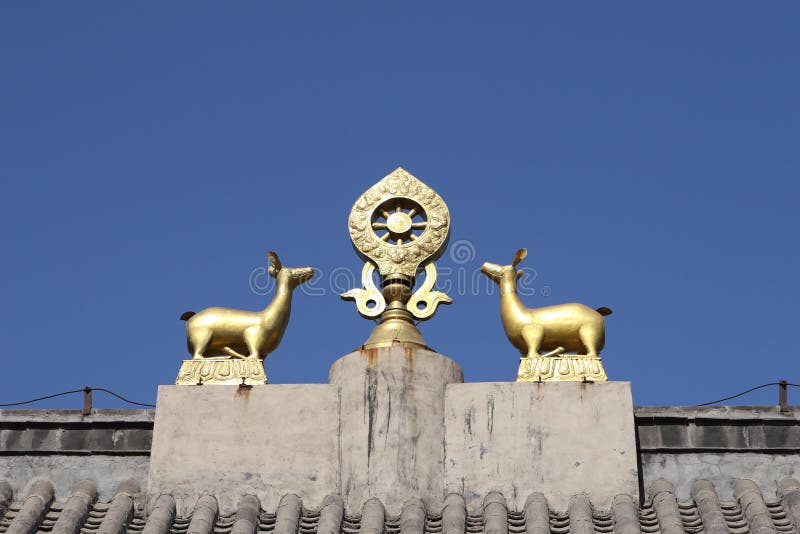 Dharma Picture. Image: 8660856