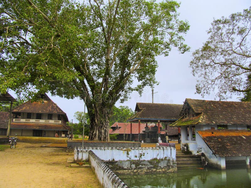 Dharmashastra Temple, Tagari, Kerala, India Stock Photo - Image of ...