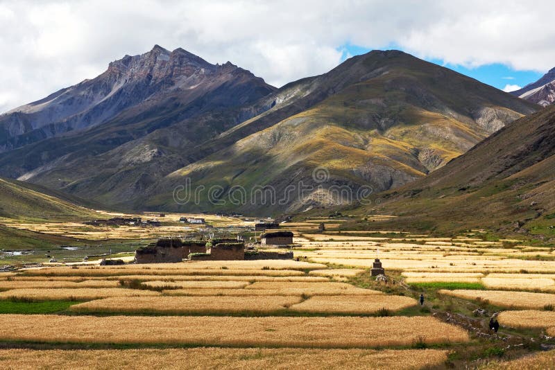 Dho Tarap Village, Dolpo, Nepal. Stock Image - Image of hiking, asia ...