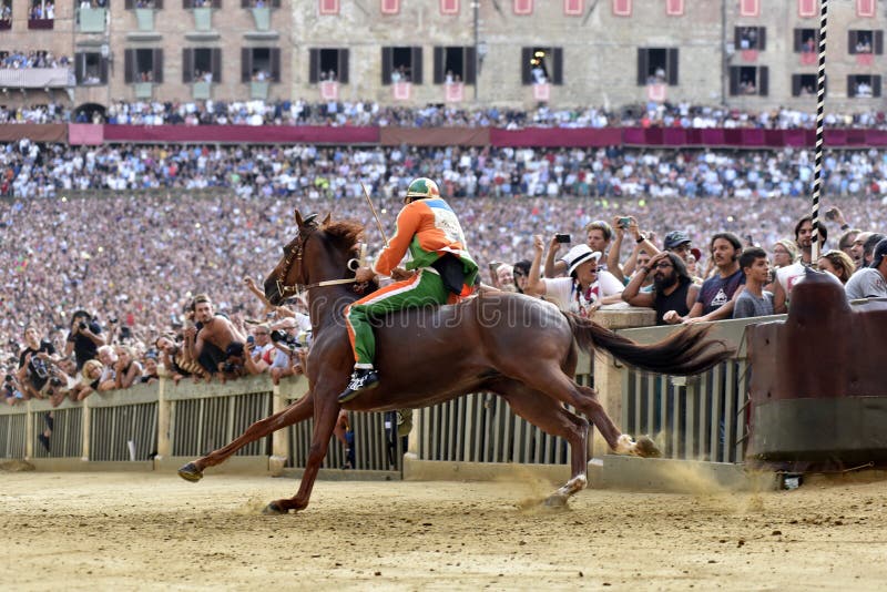 Chemin De Cheval Du Palio De Sienne Photographie éditorial - Image du ...