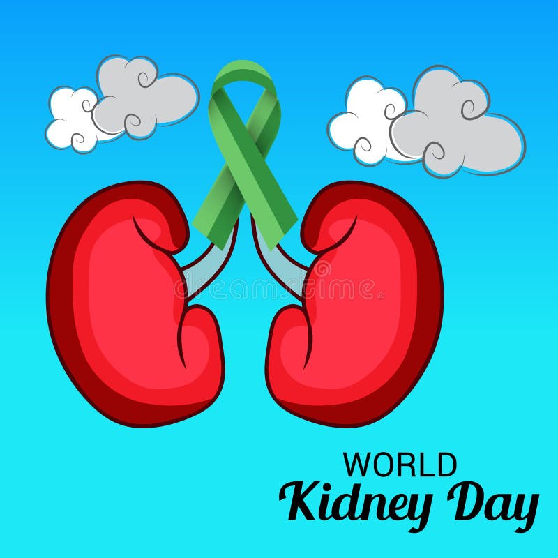 Dia do rim do mundo ilustração stock. Ilustração de isolado - 110354080