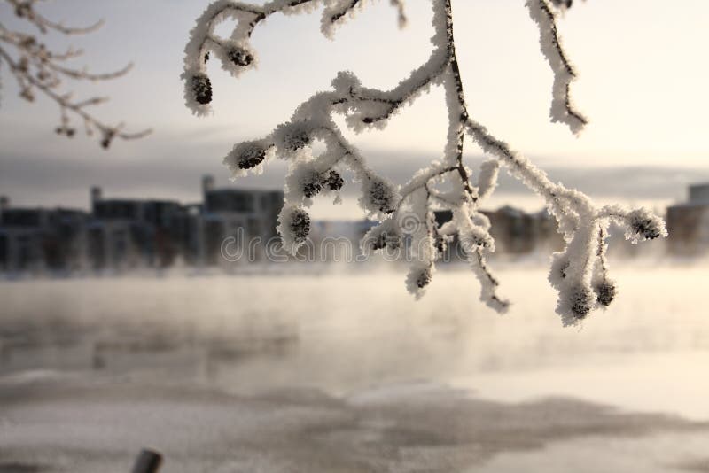Dia frio foto de stock. Imagem de geada, névoa, exterior - 10488670