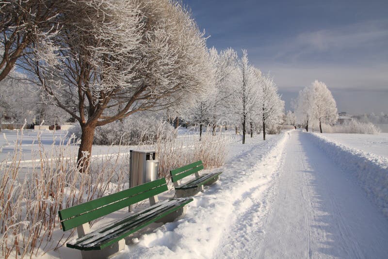 Dia frio foto de stock. Imagem de geada, névoa, exterior - 10488670