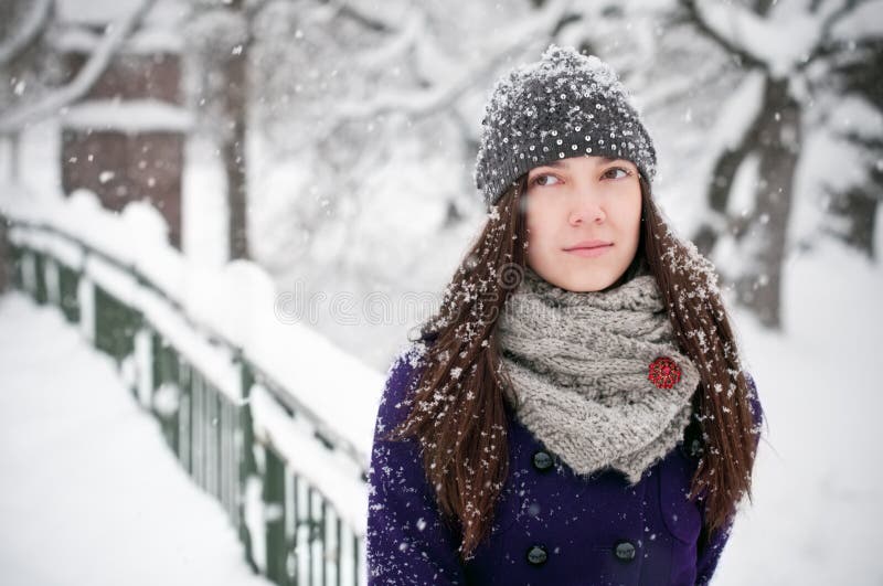 Dia nevado imagem de stock. Imagem de exterior, bonito - 17551627