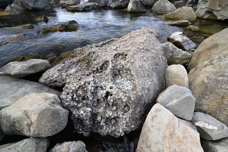 Diabase stone on the beach stock image. Image of mineral - 76070477