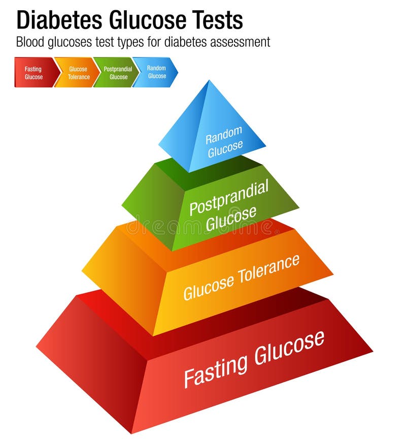 Glucose Tolerance Test Stock Illustrations – 35 Glucose Tolerance Test ...