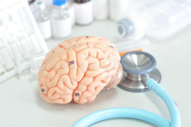 Diagnosis of human brain stock image. Image of central - 48510203