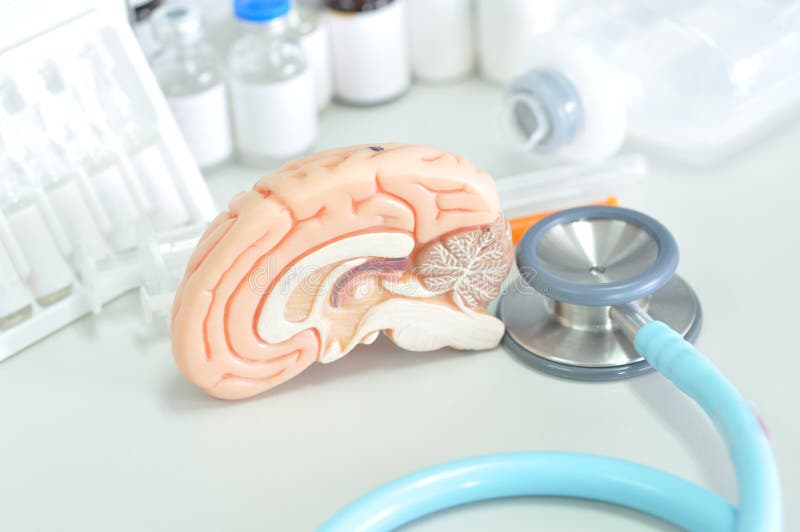 Diagnosis of human brain stock image. Image of mind, experiment - 48510213