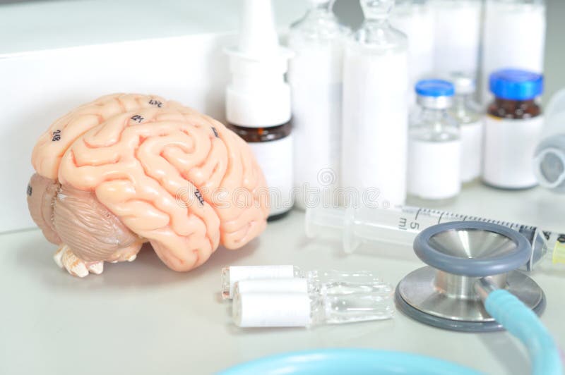 Diagnosis of human brain stock image. Image of cerebrum - 48510303
