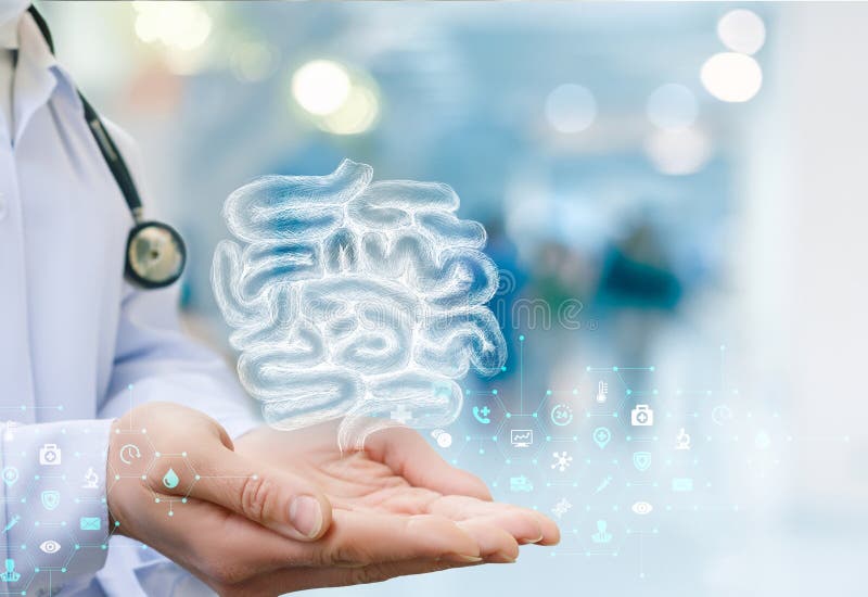 Diagnosis and Treatment of the Digestive System Stock Photo - Image of ...