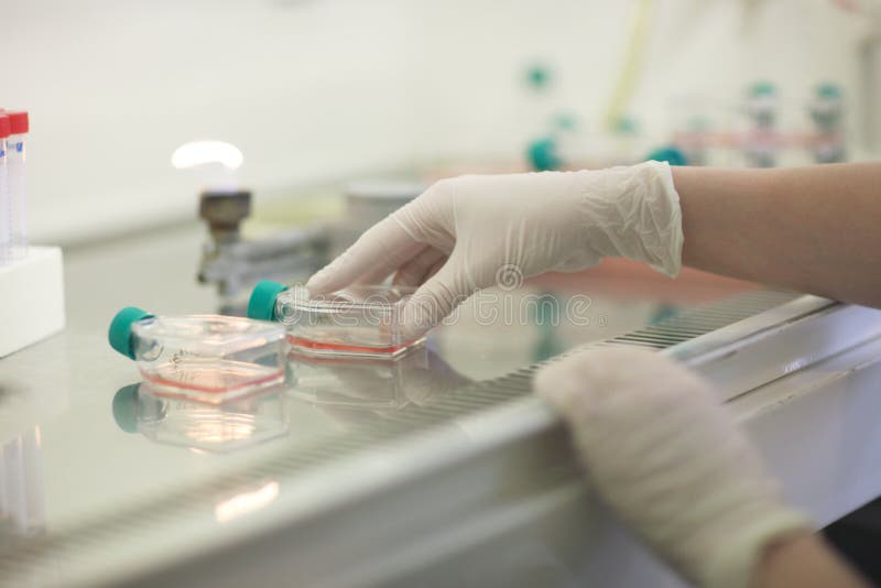 In a Diagnostic Laboratory in a Clinic Stock Photo - Image of ...