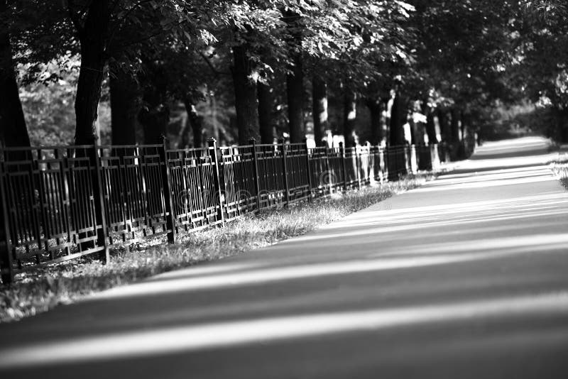 Low Angle Park Path Landscape Background Stock Photo - Image of nature ...