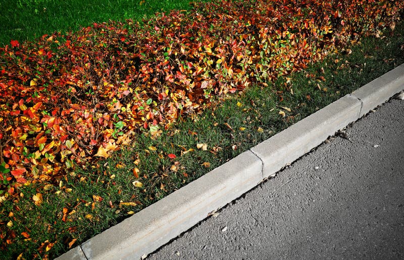 Diagonal Park Bench with Dramatic Light Leak Background Hd Stock Photo ...