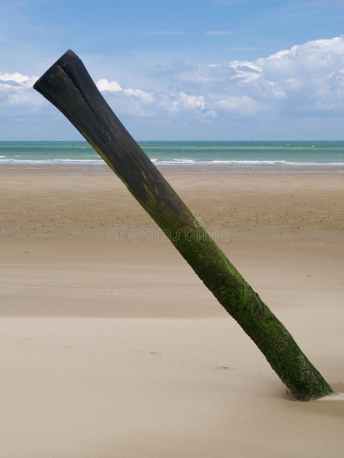 Diagonal piling on beach stock image. Image of tide, coastline - 4314391
