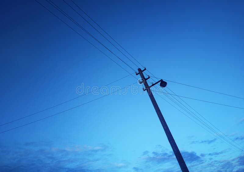 Diagonal Line of Summer Bushes Background Stock Image - Image of ...