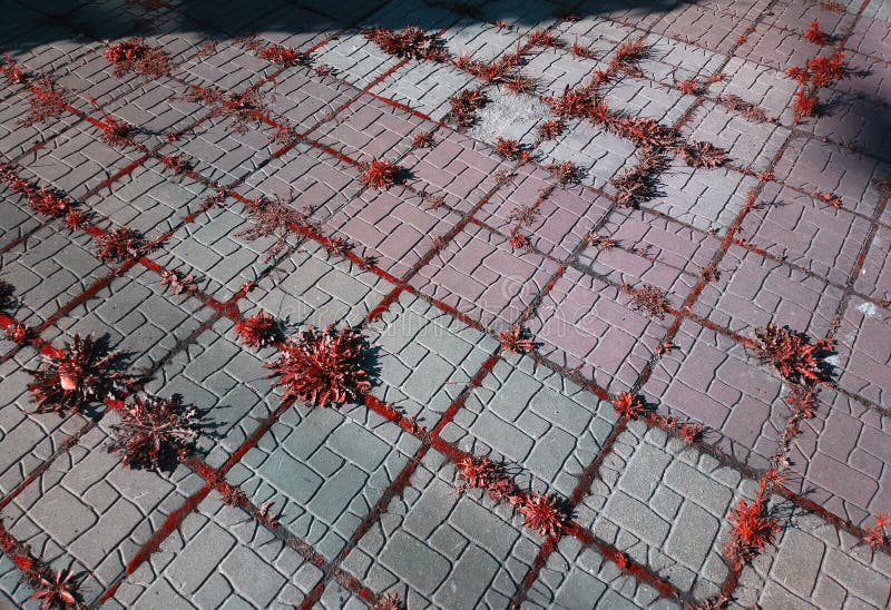 Diagonal Red Autumn Tile Texture Backdrop Stock Illustration ...