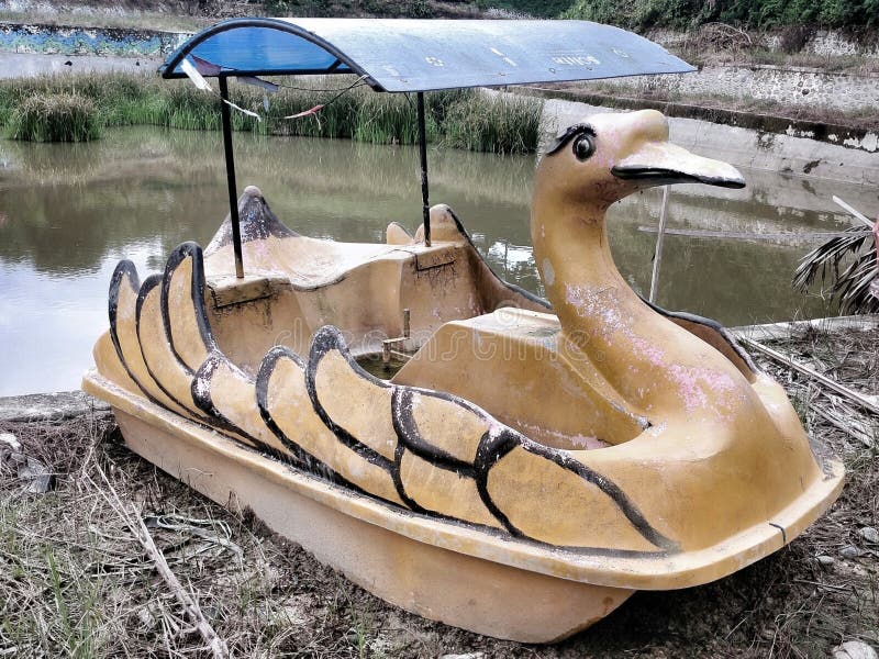 Diagonal Swan Stock Photos - Free & Royalty-Free Stock Photos from ...